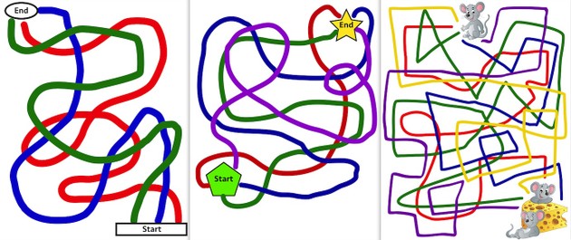 Math Teachers Should Encourage Their Students to Count Using Their ...