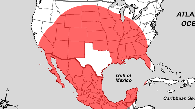 What's Closer to Texas Than Texas Is to Itself? - The Atlantic