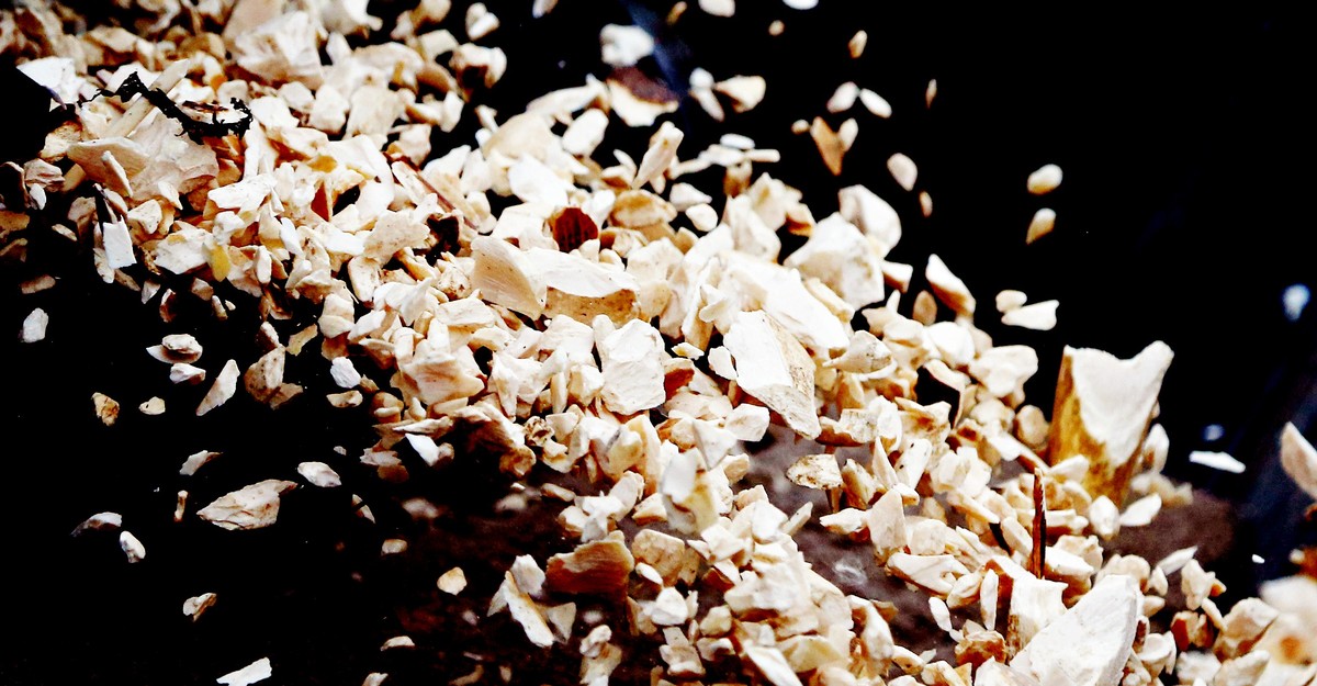 Confessions of an Ivory Consumer - The Atlantic