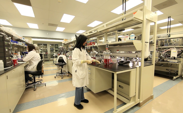 All Stories by John Castellani - The Atlantic