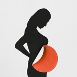 Anna Louie Sussman, The Atlantic