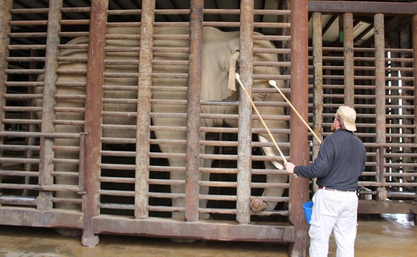 All Stories by Everett Cook - The Atlantic