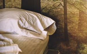 All Stories by Edward J. Delaney - The Atlantic