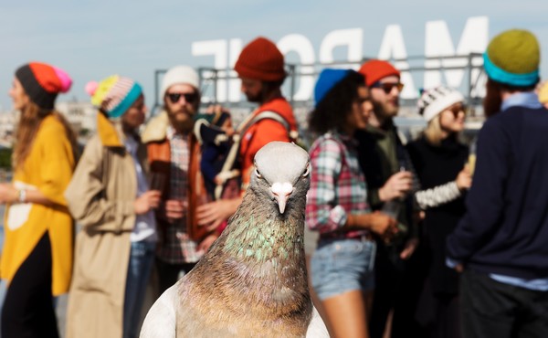 All Stories by Sarah Sloat - The Atlantic