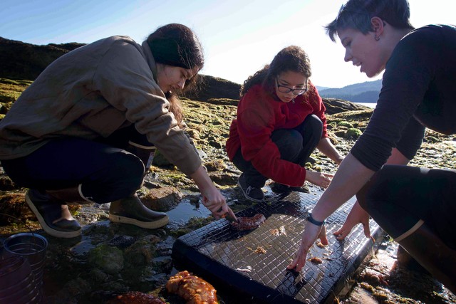 This Alaskan Science Class's Exam: Wilderness Survival - The Atlantic