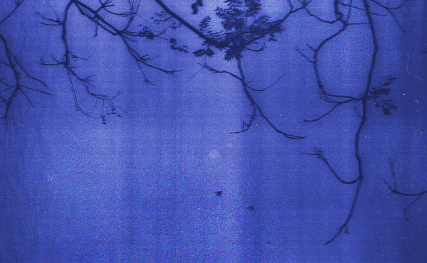 All Stories by Victoria Chang - The Atlantic