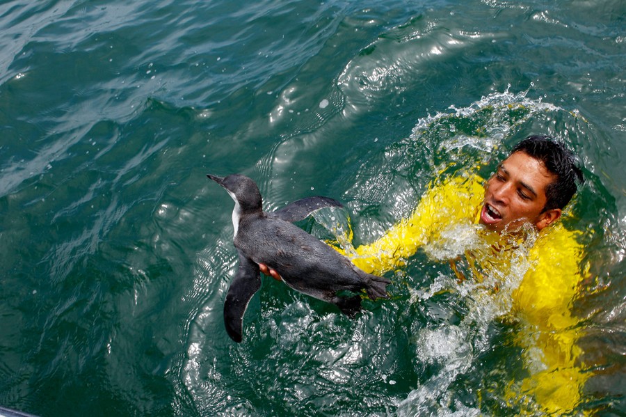 Scenes From Peru - The Atlantic