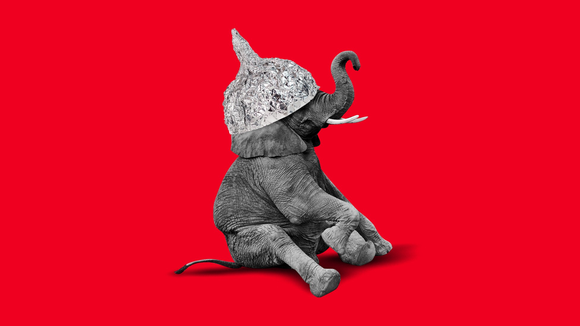 The Republican Party's Midterm Wackadoodle Wave - The Atlantic