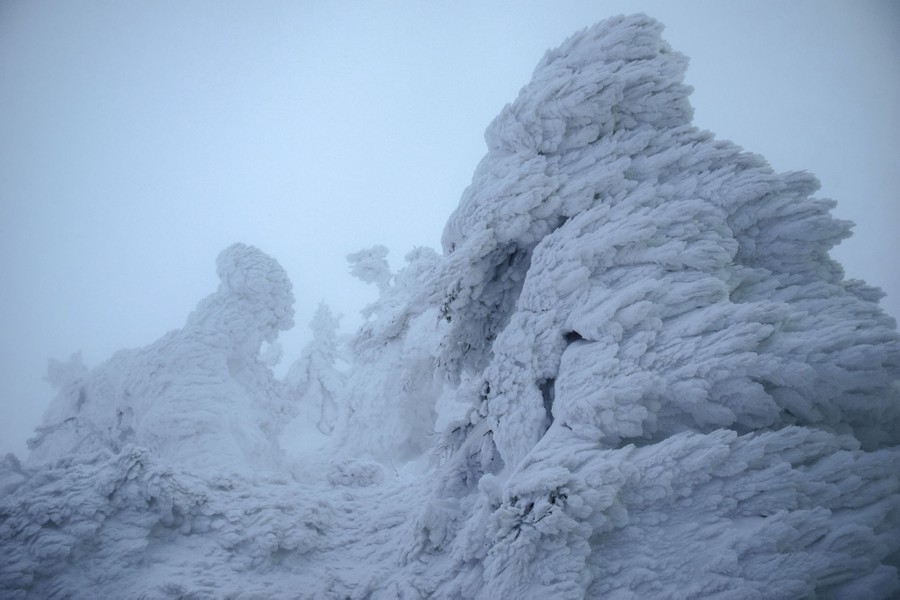 Juhyo: The Snow Monsters on Japan’s Mount Zao - The Atlantic