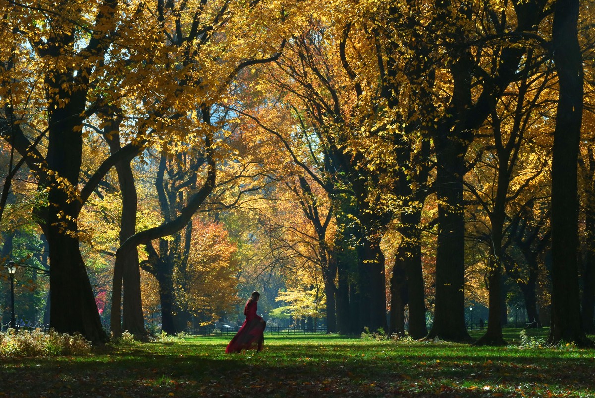 Autumn Colors and Autumn Chill (21 photos) | In Focus | Bloglovin’