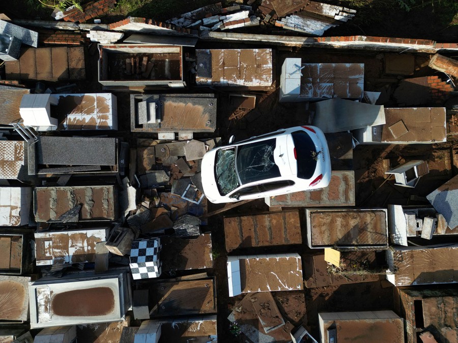 Photos of the Week: Mormon Crickets, Dragon Boats, Floating Concert ...