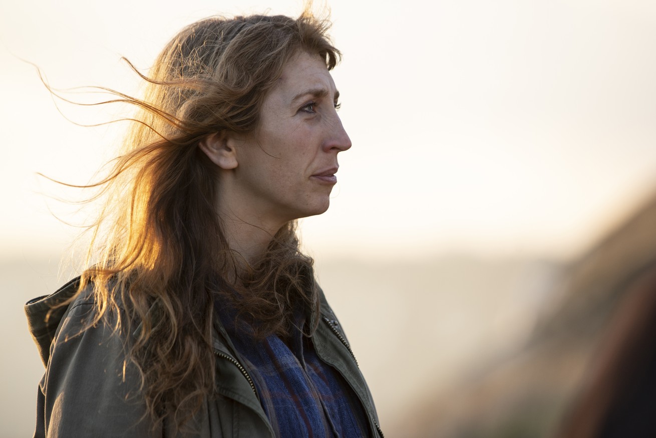 25 Half-Hour Shows to Watch: 'Run,' 'Homecoming,' 'Ramy,' and More ...