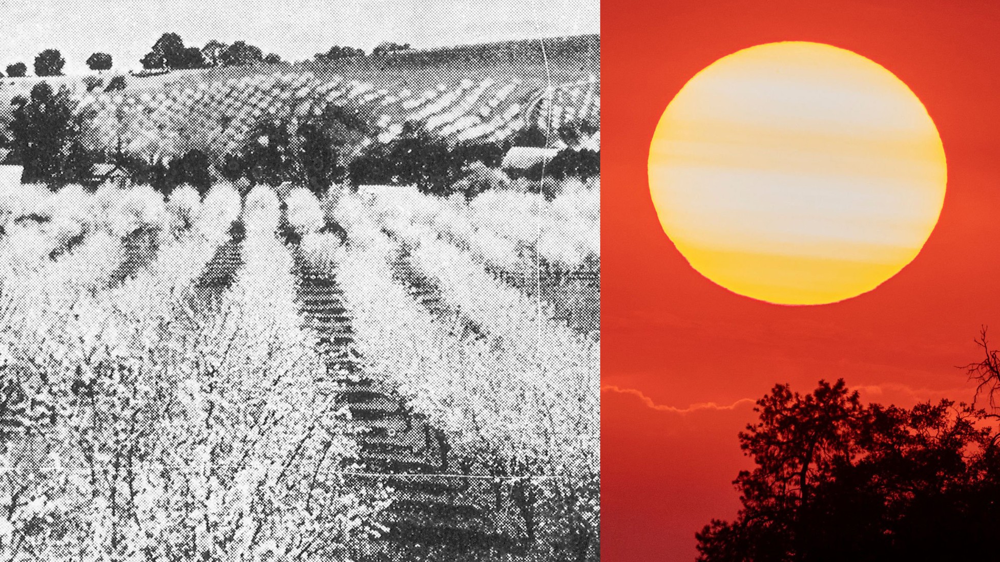 A Slightly Hotter World Could Still Be a Better One - The Atlantic