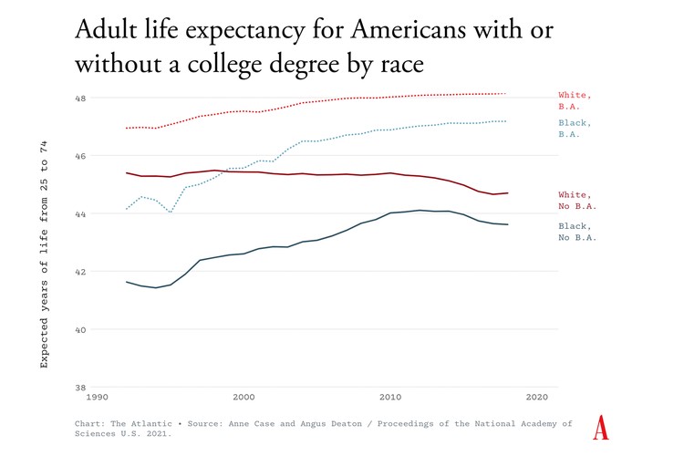 Nothing Defines America’s Social Divide Like a College Education - The ...