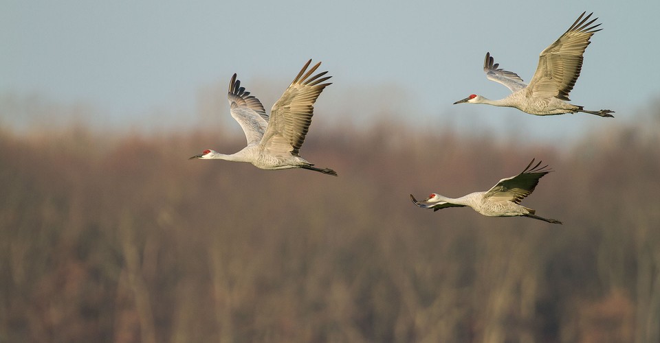 Indiana: Images of the Hoosier State - The Atlantic