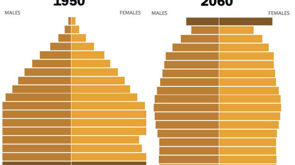 The End of the Age Pyramid - The Atlantic