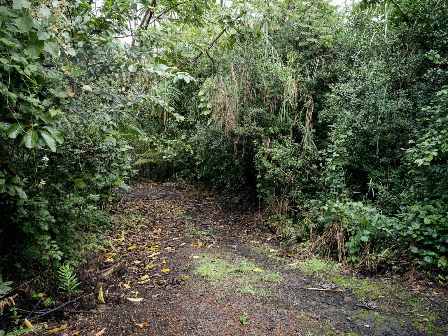 The Neighbors Who Destroyed Their Lives - The Atlantic