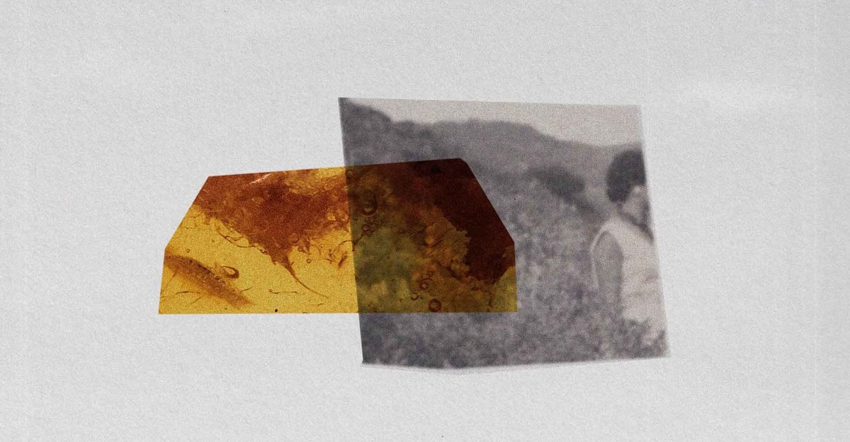 A Poem by Eavan Boland: 'Amber' - The Atlantic