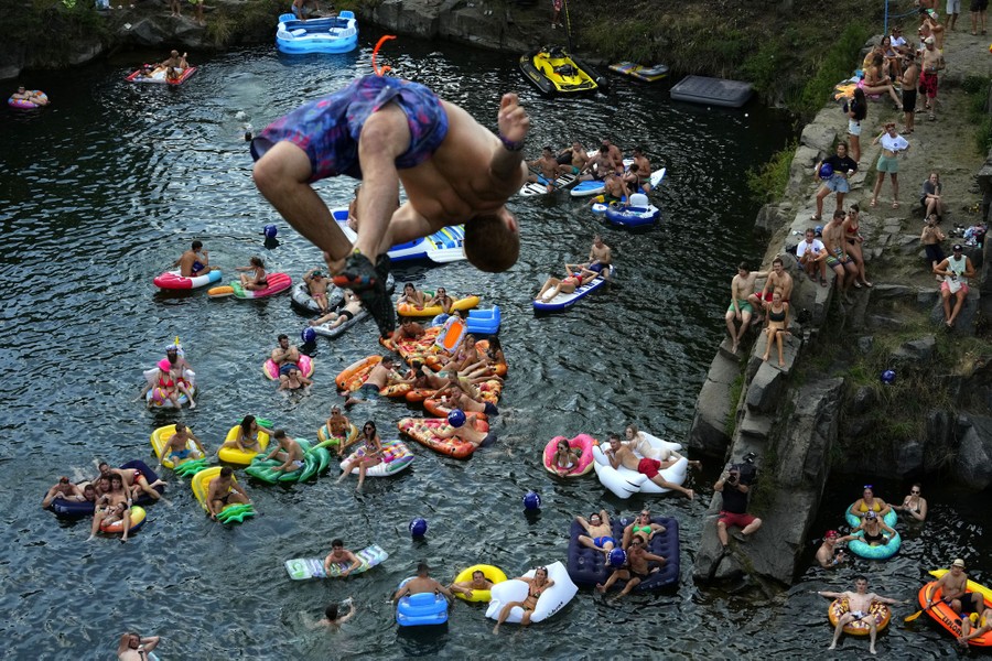 Photos of the Week: Airplane House, Mayfly Swarm, Cool Buffalo - The ...