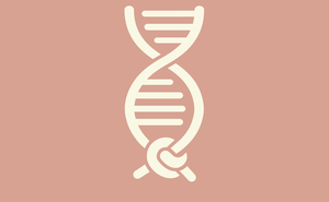 All Stories by Sarah Zhang - The Atlantic