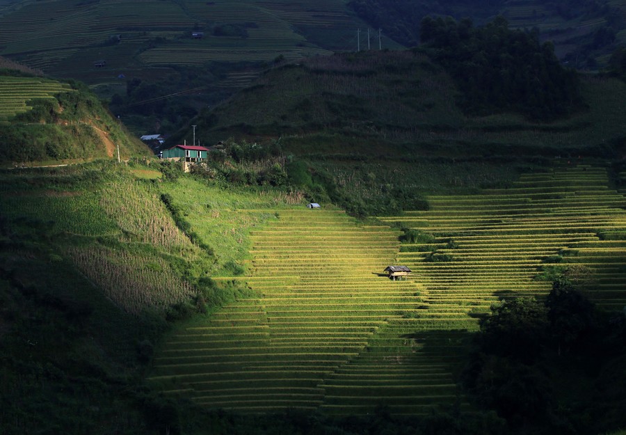 The Beauty of Terraced Fields - The Atlantic
