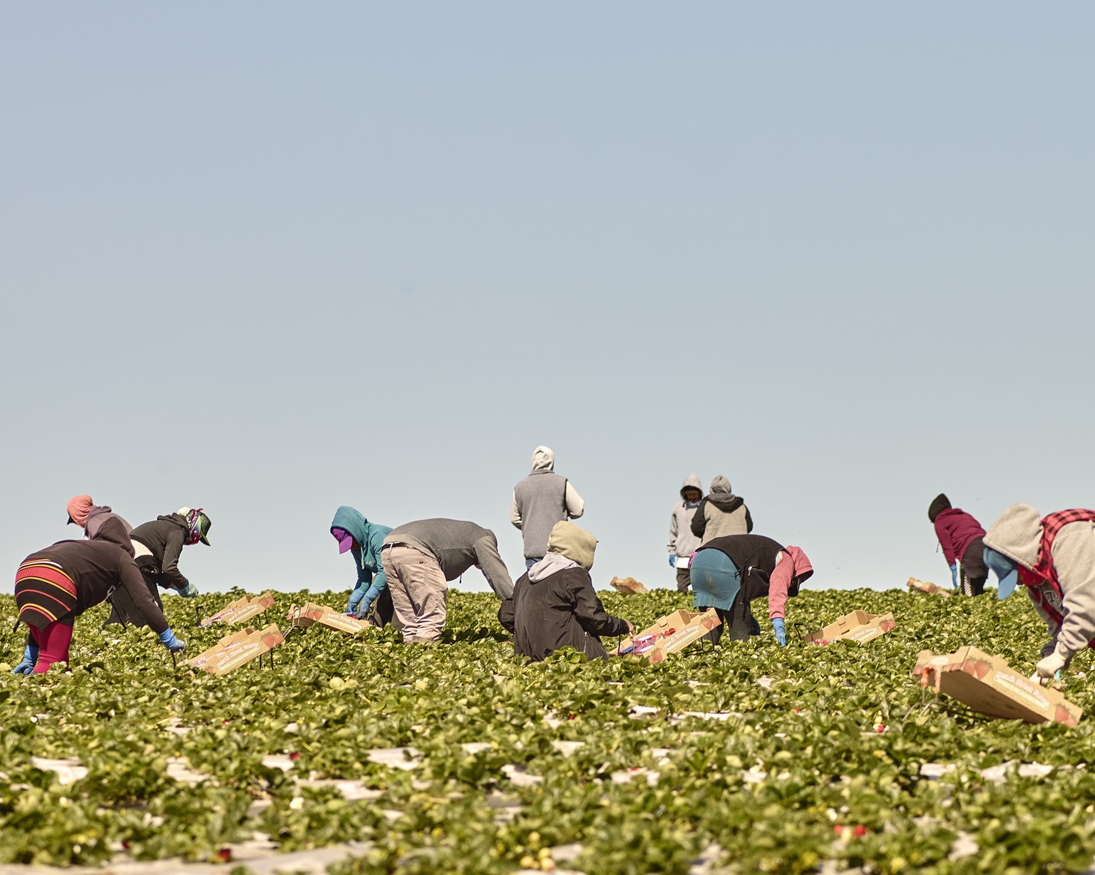 Essential Workers Are Being Treated as Expendable - The Atlantic