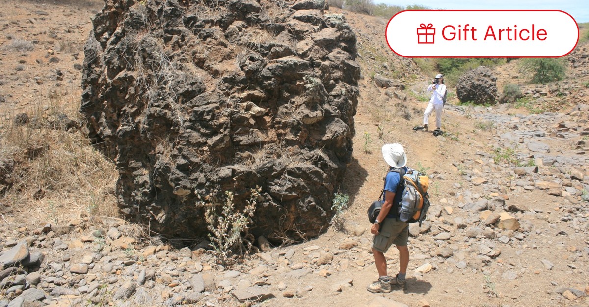 largest mega tsunami