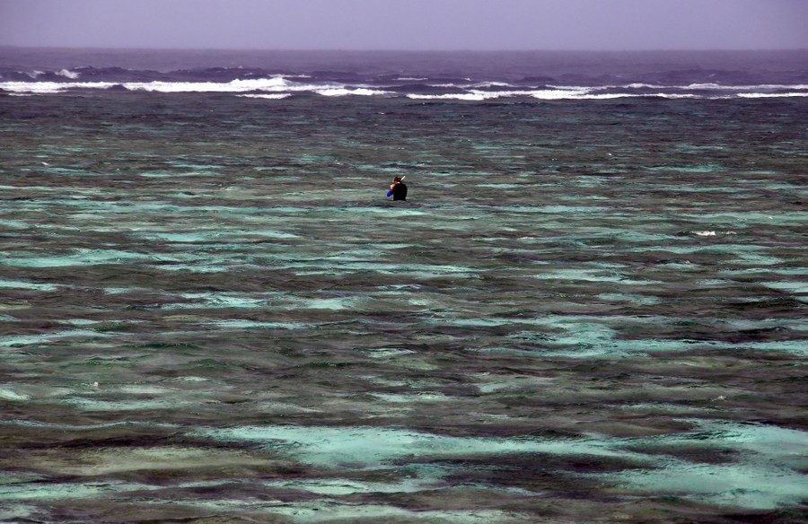 Australia's Great Barrier Reef at Risk - The Atlantic