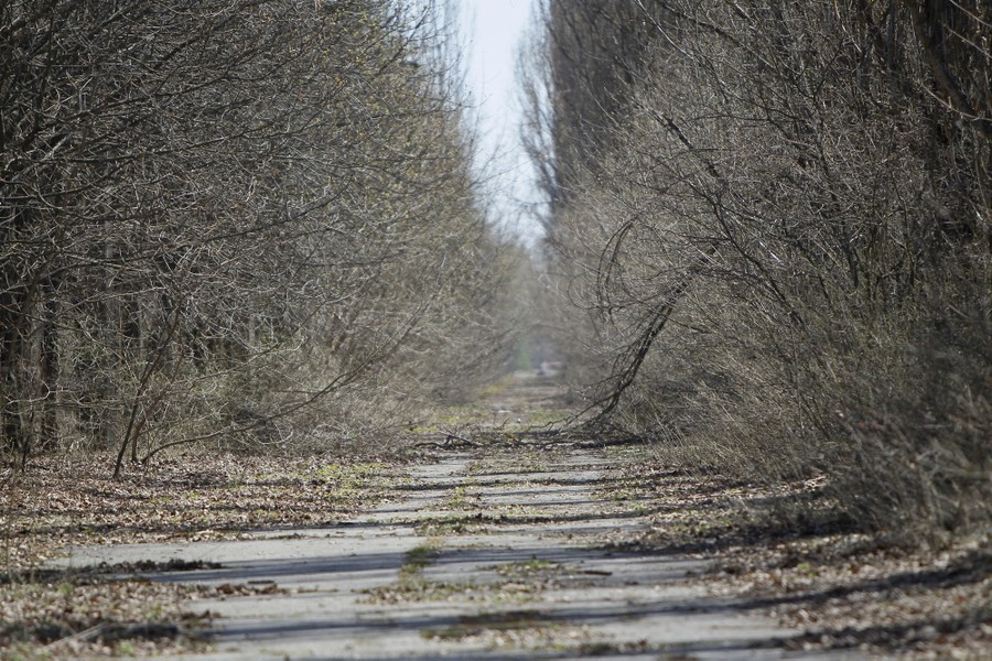 Still Cleaning Up: 30 Years After the Chernobyl Disaster - The Atlantic Still Cleaning Up: 30 Years After the Chernobyl Disaster - The Atlantic