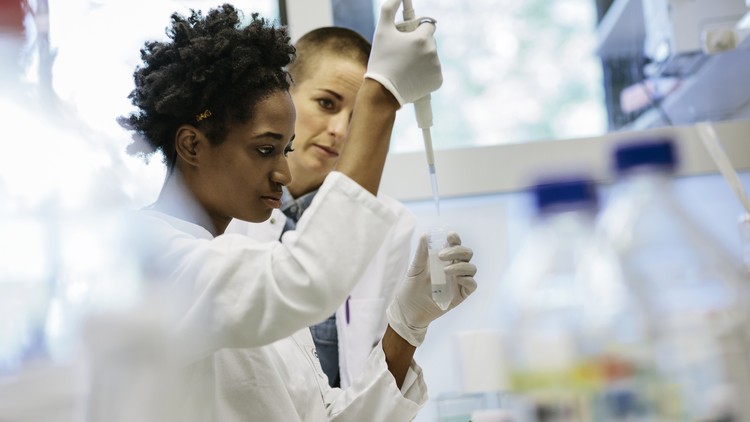 Small Teams of Scientists Have Fresher Ideas - The Atlantic