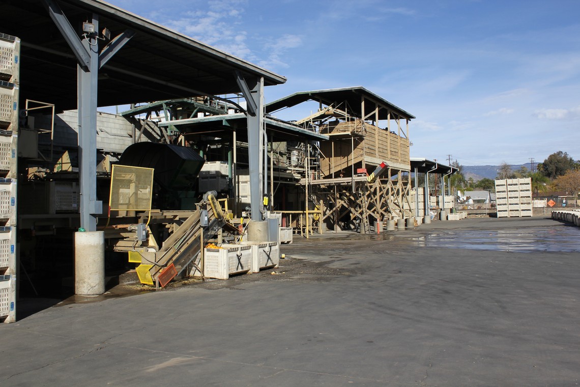 Inside the Packing House - The Atlantic