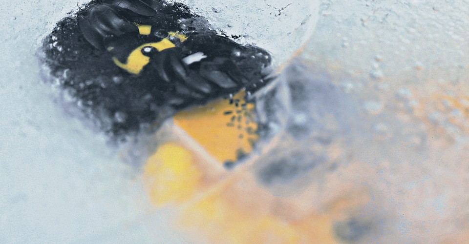 How to Freeze People and Bring Them Back to Life - The Atlantic