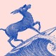 A surfing donkey