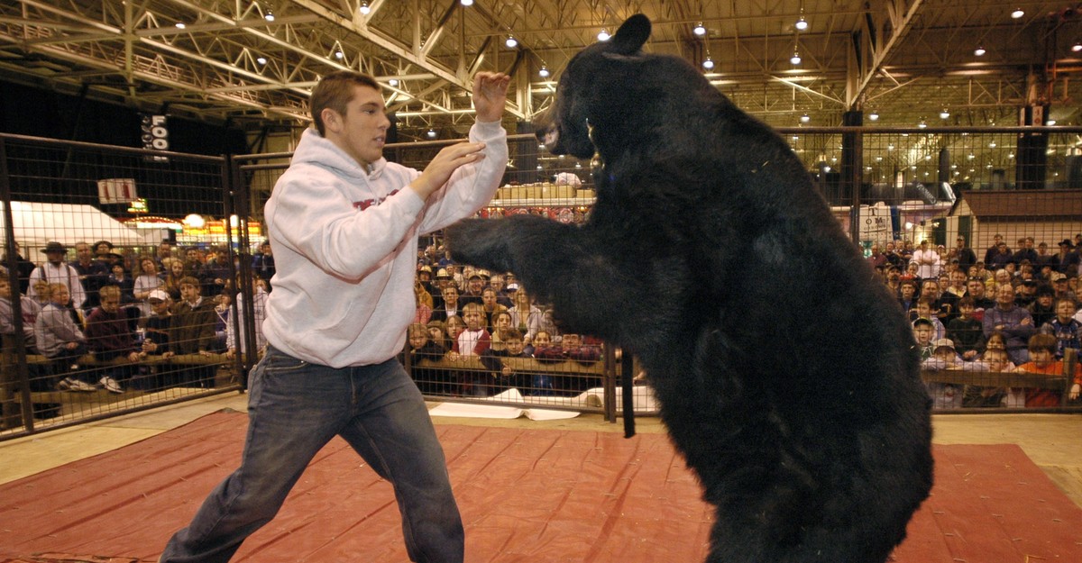 Can Bears and Humans Coexist? - The Atlantic