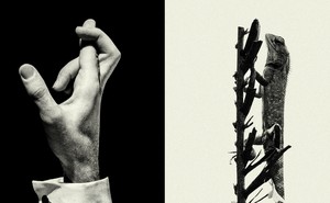 All Stories by Robin Marantz Henig - The Atlantic