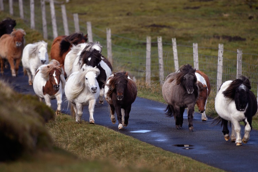 Foula—the Most Remote Inhabited Island in Great Britain - The Atlantic