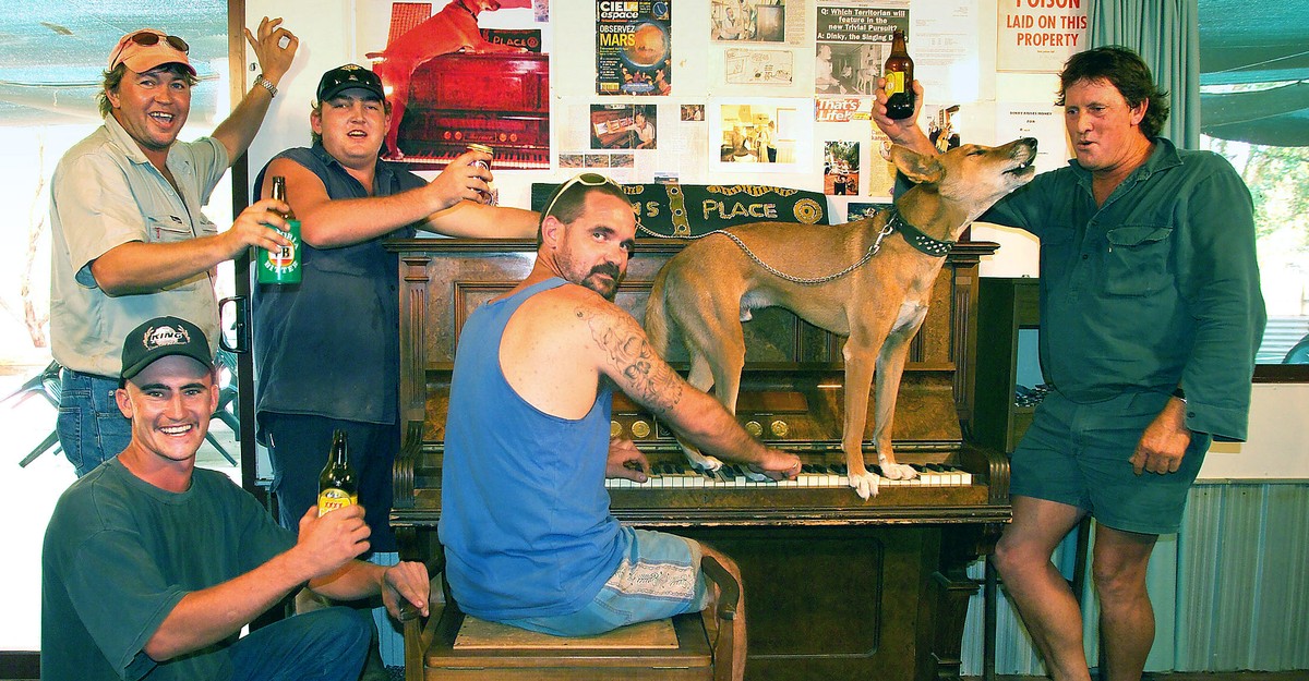 Are Australians Redomesticating the Dingo? - The Atlantic