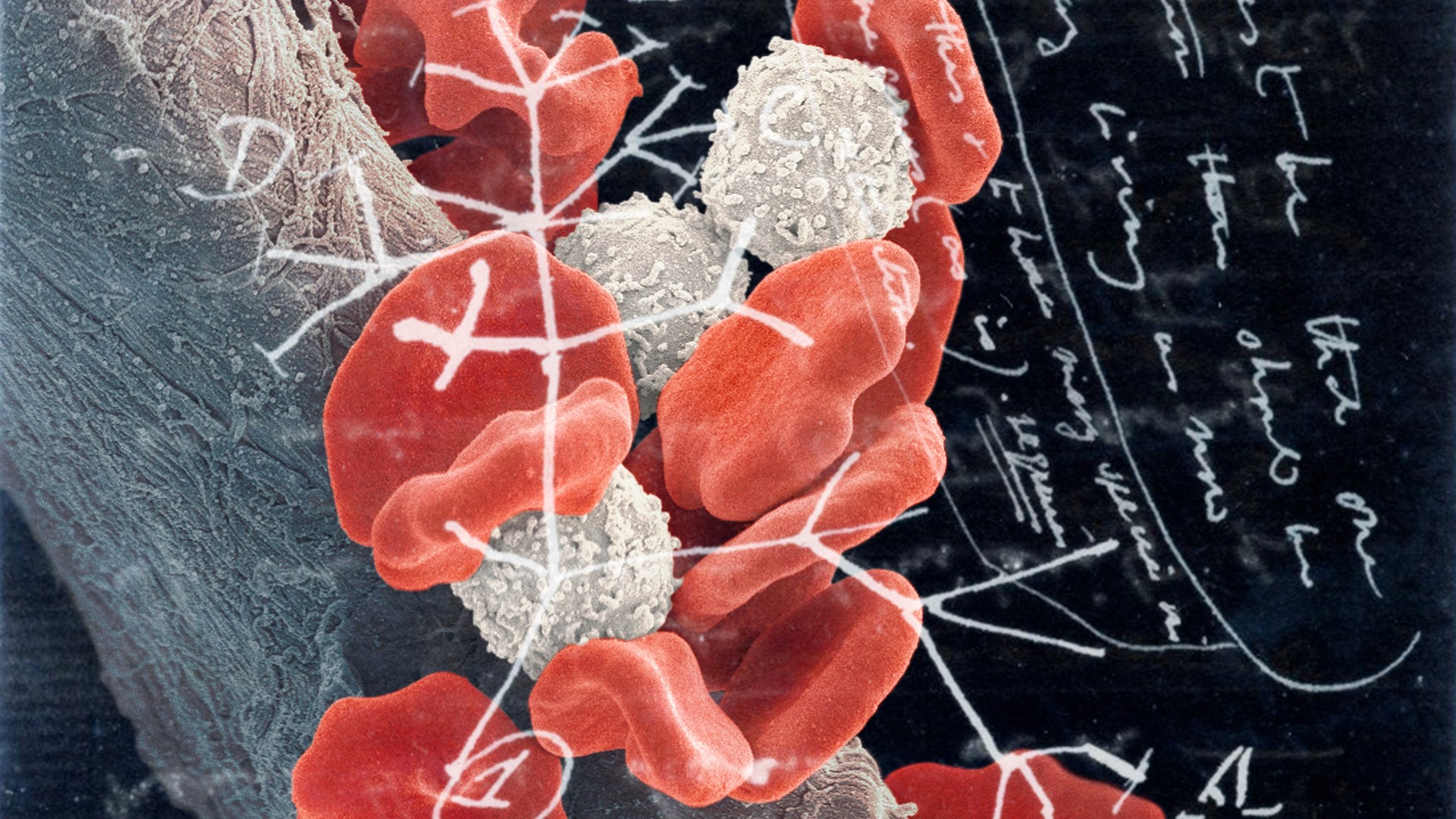 How to Fight Cancer (When Cancer Fights Back) - The Atlantic