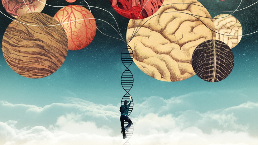 The Science of Genes and Heredity Is Constantly Changing - The Atlantic