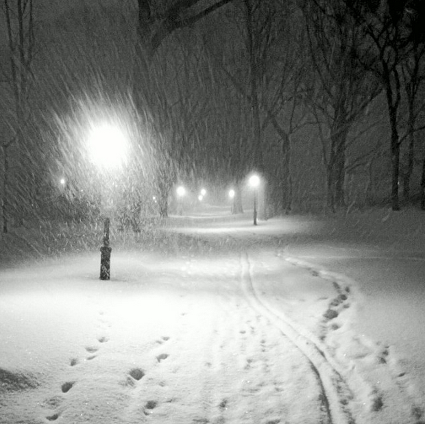 Another Snowstorm Means More Awesome Snow Photos - The Atlantic