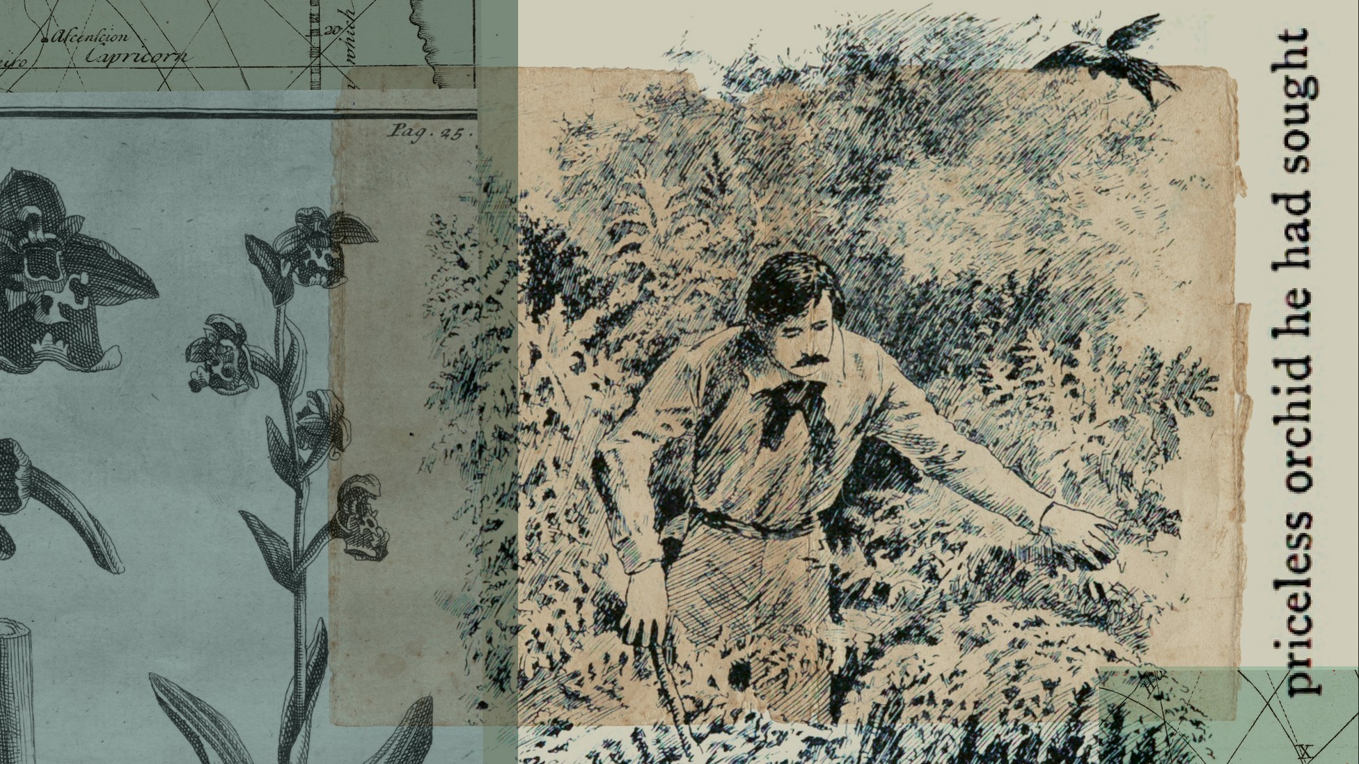 How Orchid Hunters Complicate Colonial Narratives - The Atlantic
