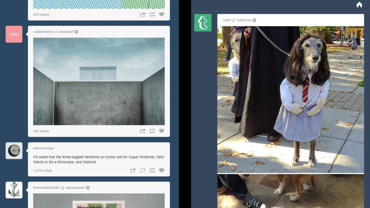 'Bluespace': The Unintended Creative Effect of Tumblr's Wider Posts ...