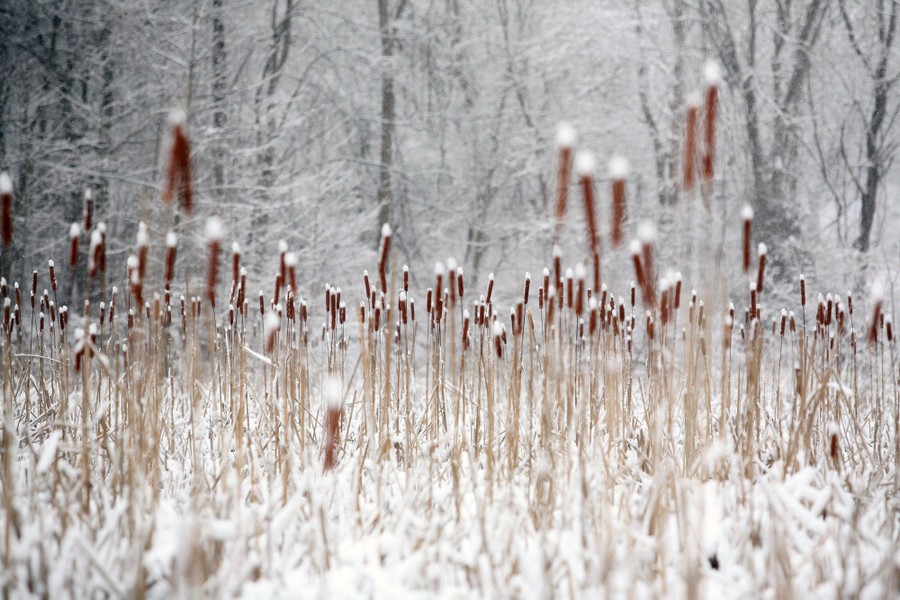 Ohio: Images of the Buckeye State - The Atlantic