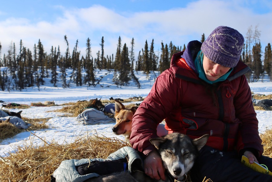 Scenes From the 2021 Iditarod Trail Sled Dog Race - The Atlantic