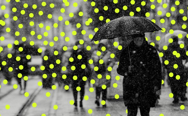 All Stories by Sarah Zhang - The Atlantic