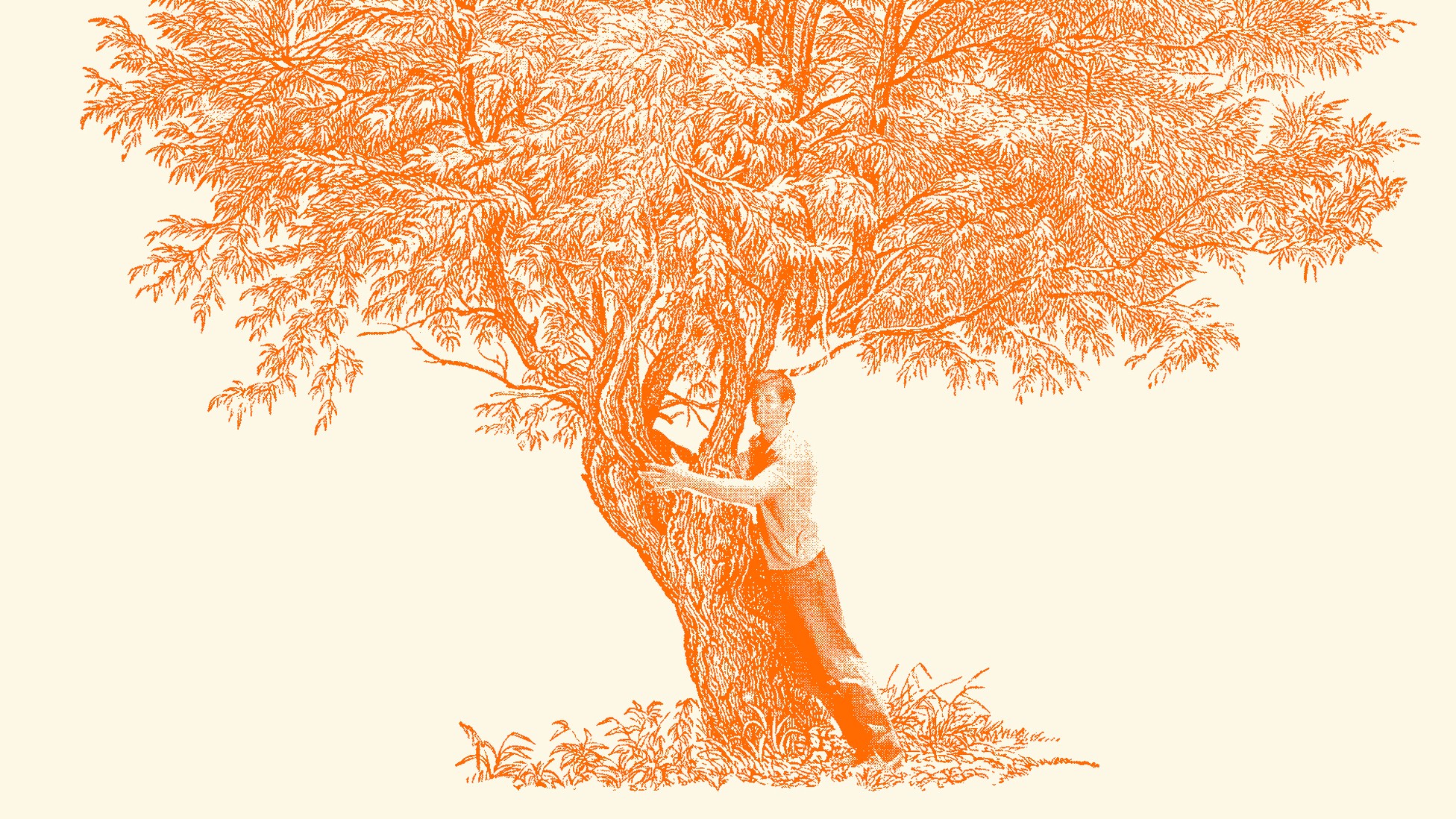 The Meaning of Trees in a Warming World - The Atlantic