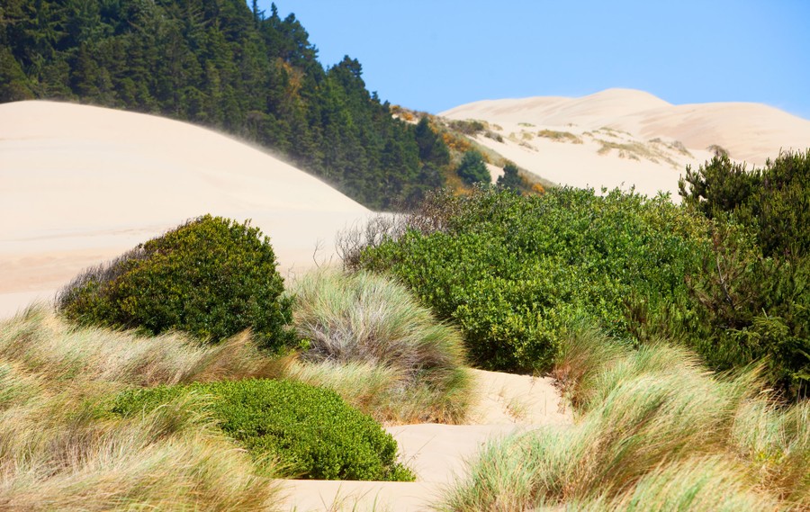 Oregon: Images of the Beaver State - The Atlantic