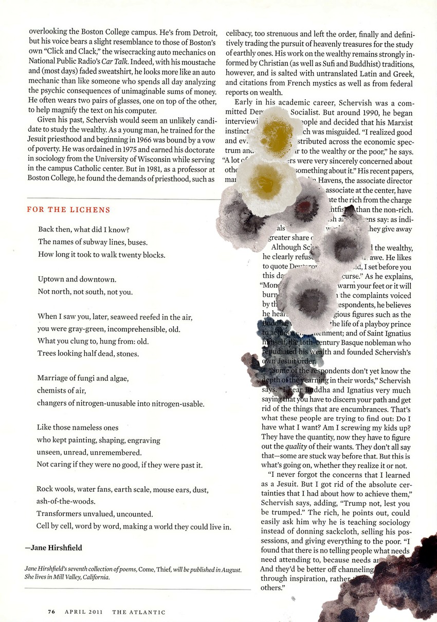 A Poem by Jane Hirshfield: 'For the Lichens' - The Atlantic