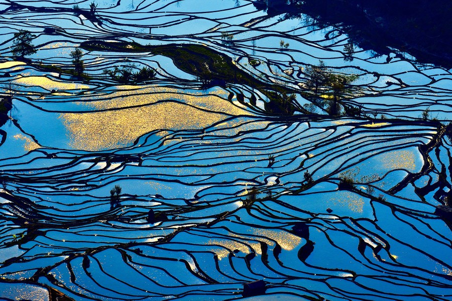 The Beauty of Terraced Fields - The Atlantic