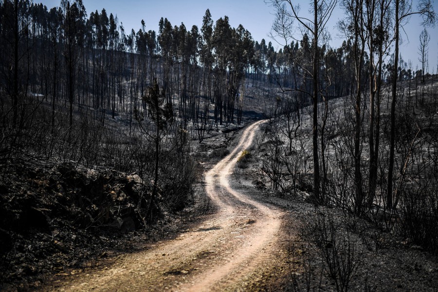 Wildfires Rage in Central Portugal: Photos - The Atlantic